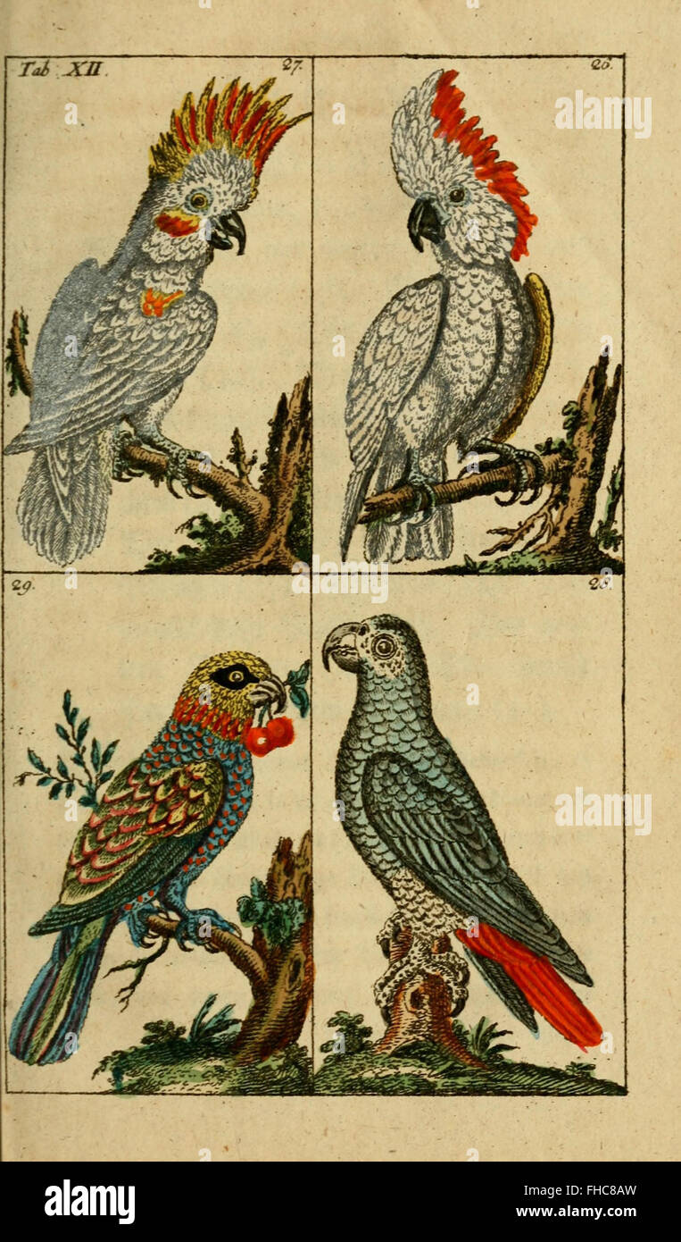 A collection of natural history writings from early works to 1800 ...