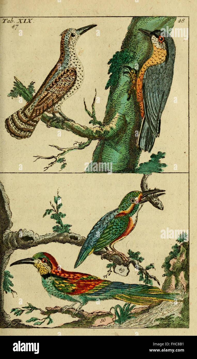 A historical work exploring birds and their role in natural history ...