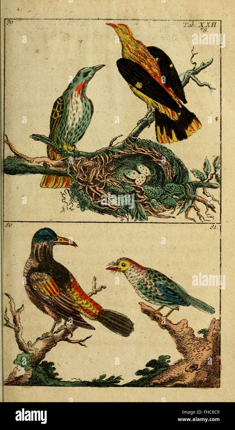 A historical collection from the Smithsonian Institution Libraries ...