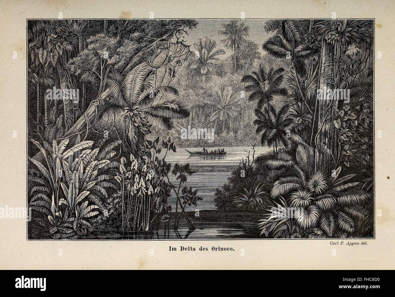 A work exploring life and cultures under the tropics, focusing on the ...
