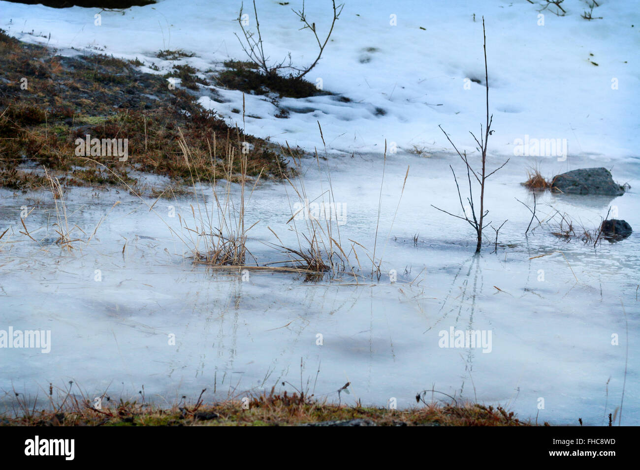 Frozen pond in closeup Stock Photo - Alamy