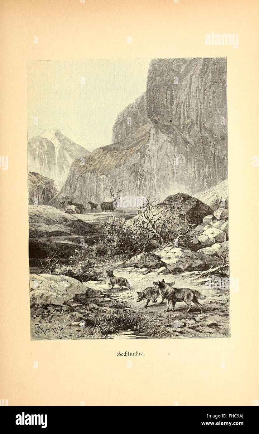 Vom Nordpol zum Aequator Stock Photo - Alamy