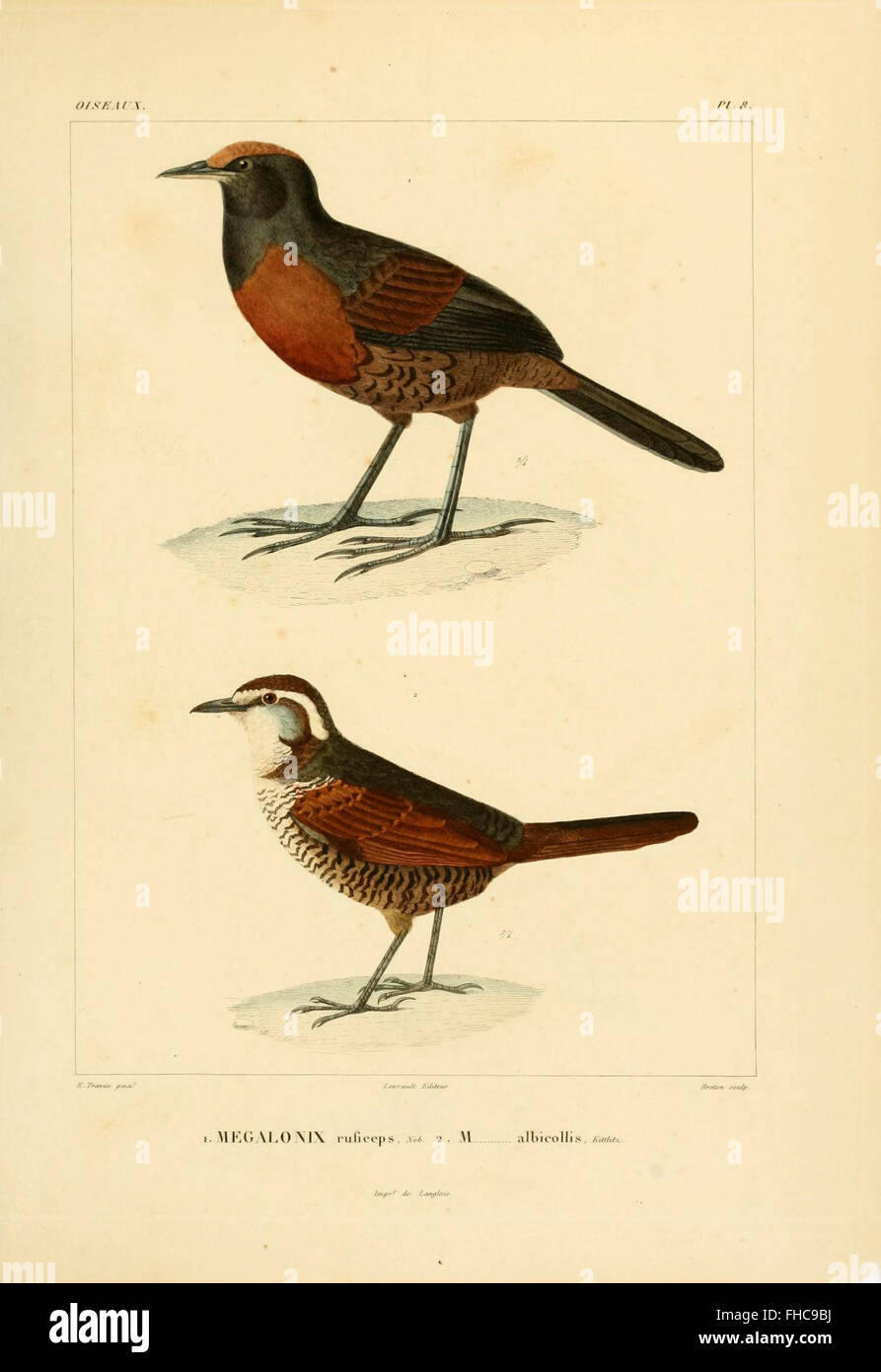 A travelogue documenting the journey through South America, exploring ...