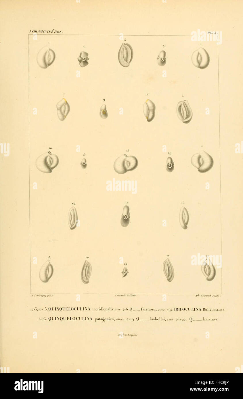 An opera seria from 1810, 'Gli Orazi e i Curiazi,' depicting the ...