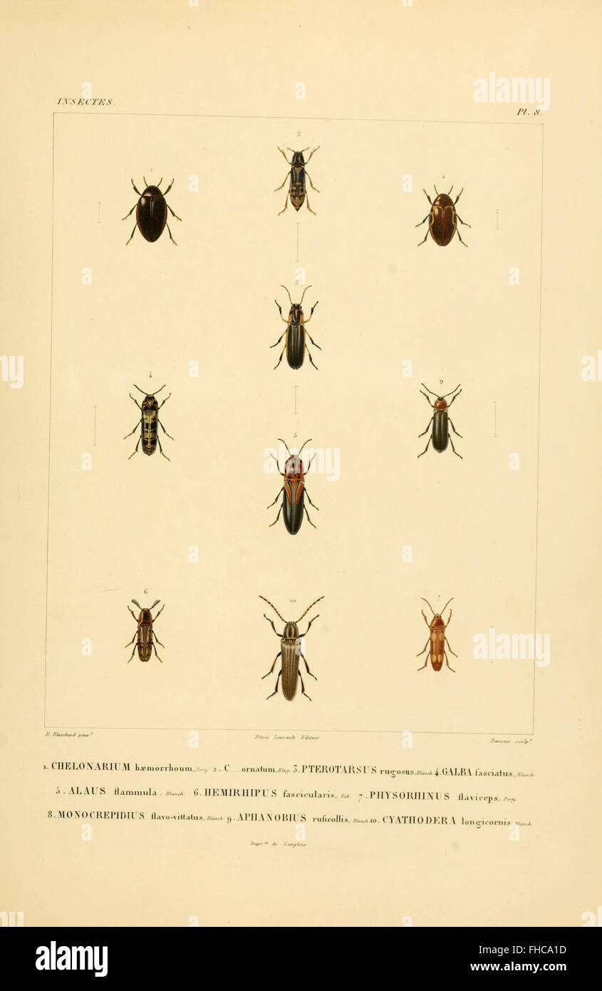 The Ernst Mayr Library at Harvard University houses research on the ...