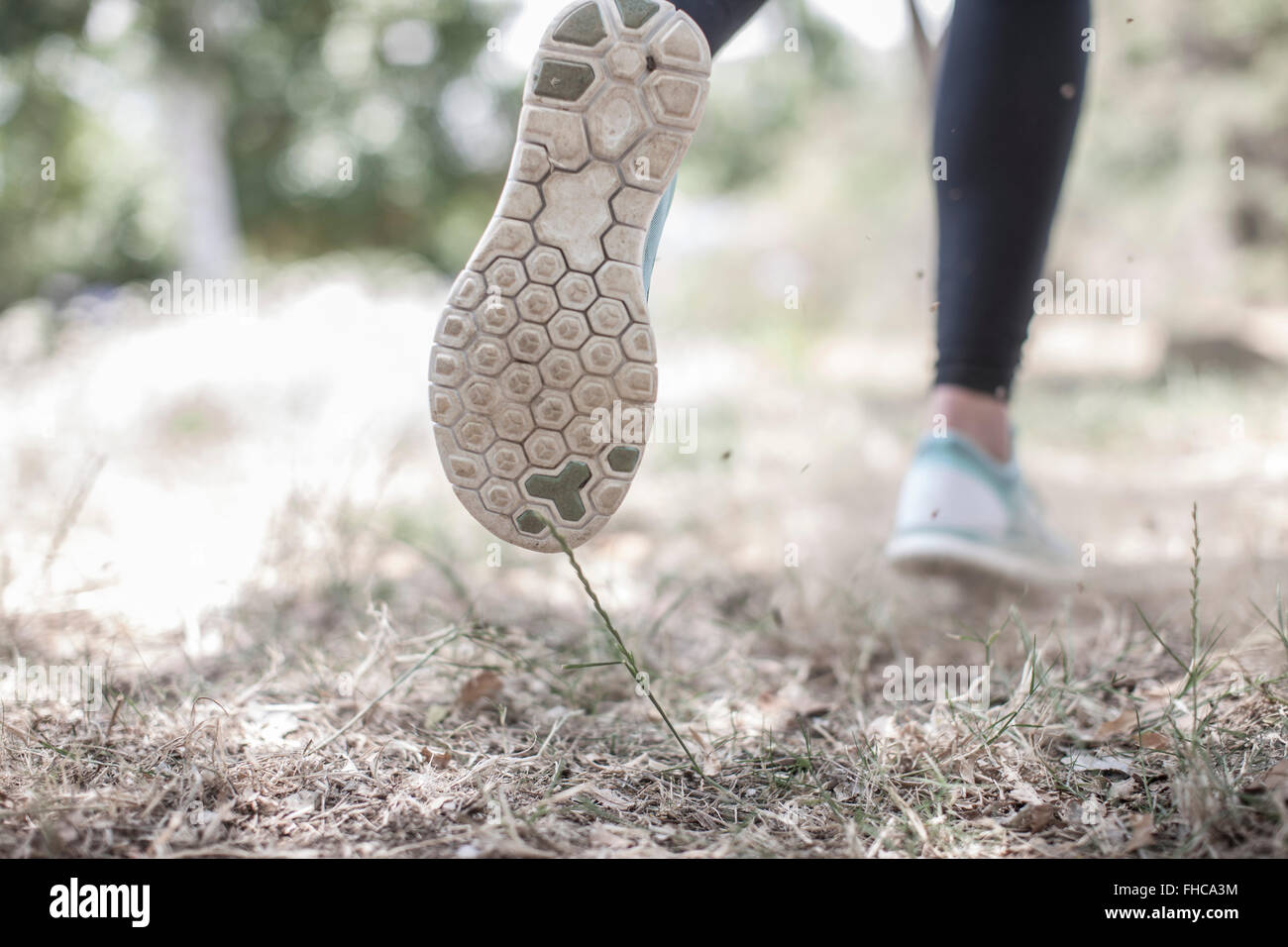 Close-up of feet of woman running in forest Stock Photo - Alamy