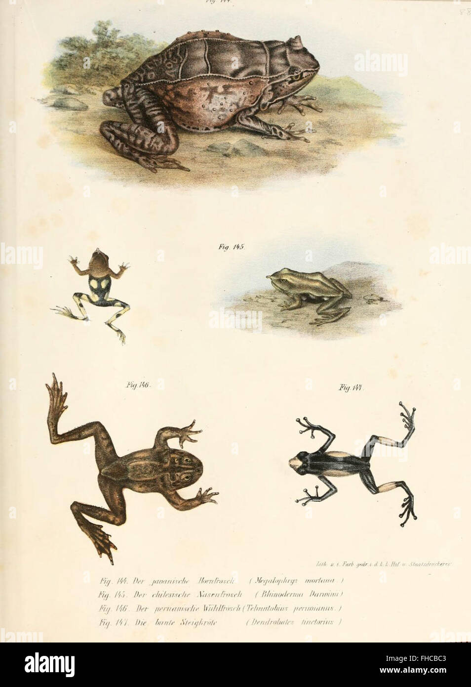 Bilder atlas hi-res stock photography and images - Alamy