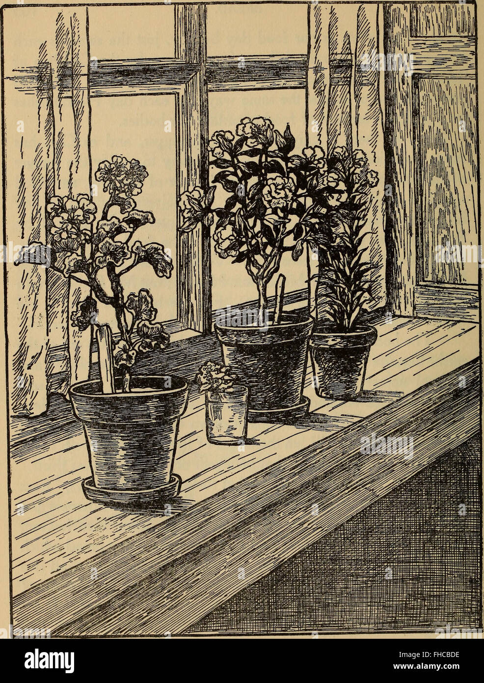 With the children on Sundays, through eye-gate, and ear-gate into the ...