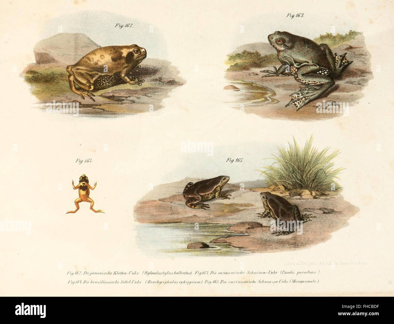 A visual atlas detailing the scientific and popular history of ...