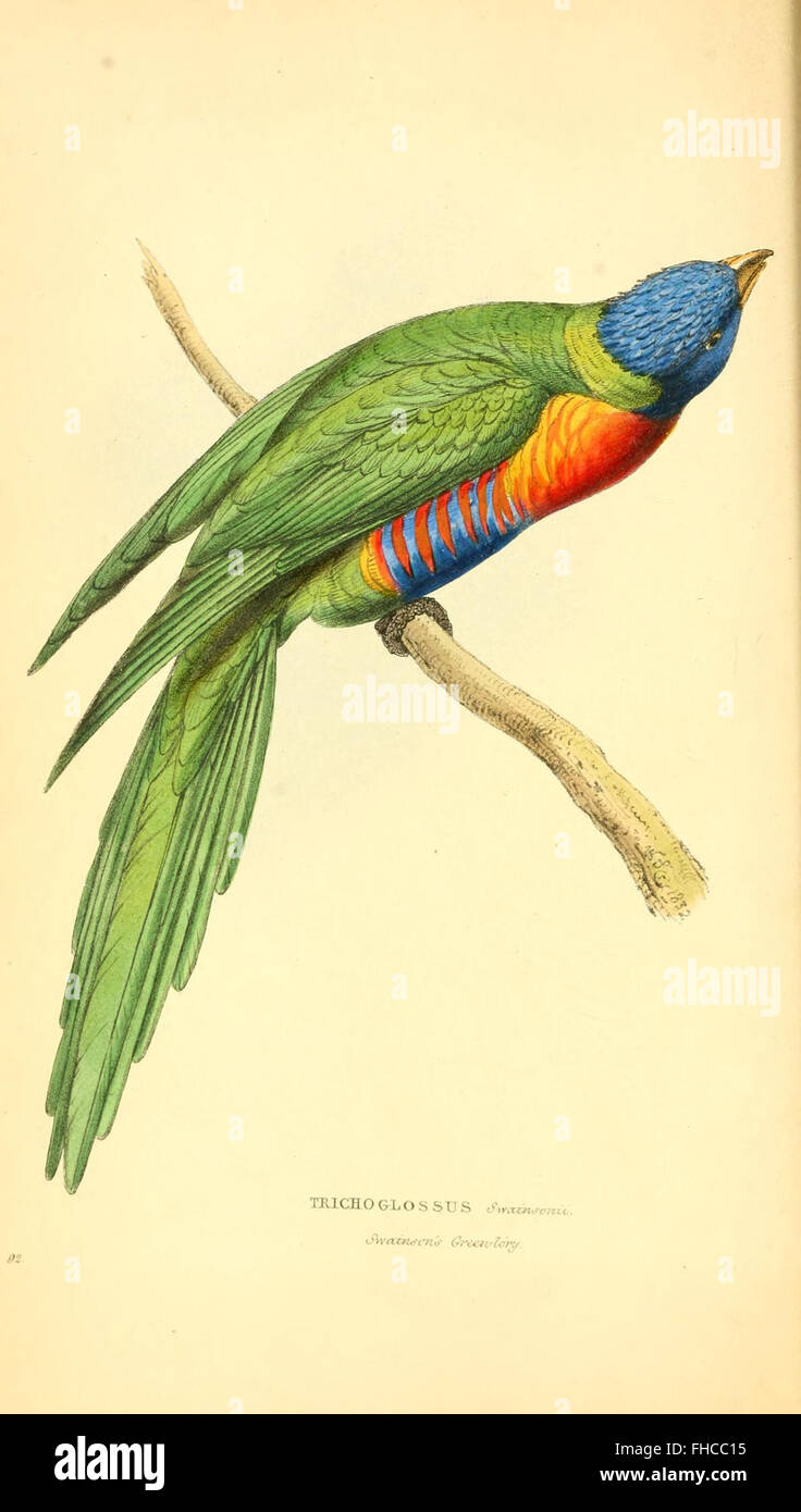 Zoological illustrations, or, Original figures and descriptions of new ...