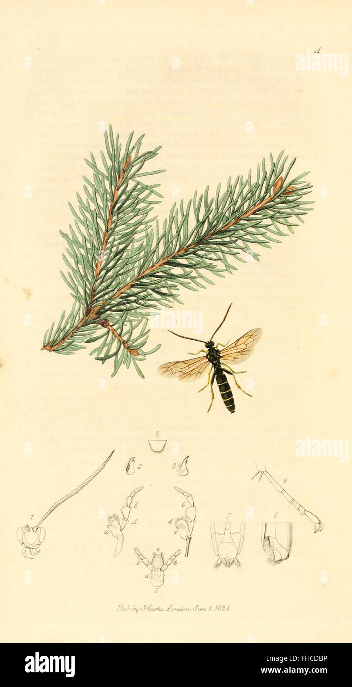 A detailed study of British entomology, documenting the diverse insect ...