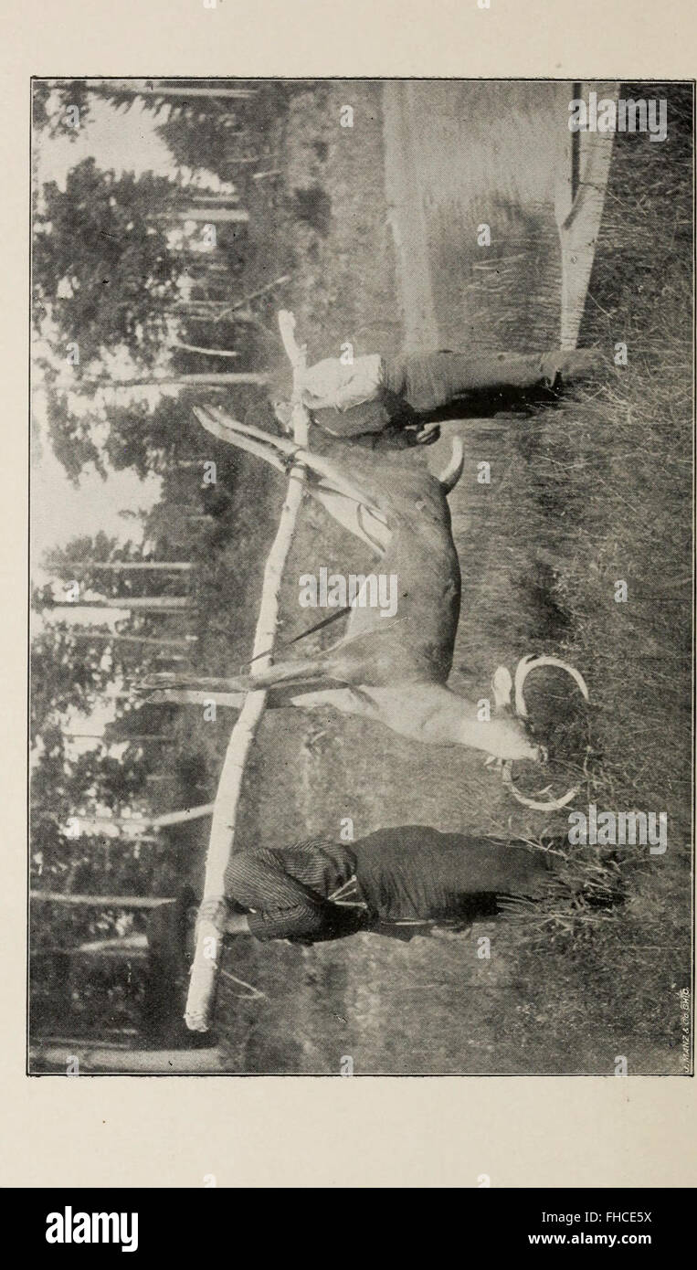 A 1894 collection of musings and reflections on life in the woods ...