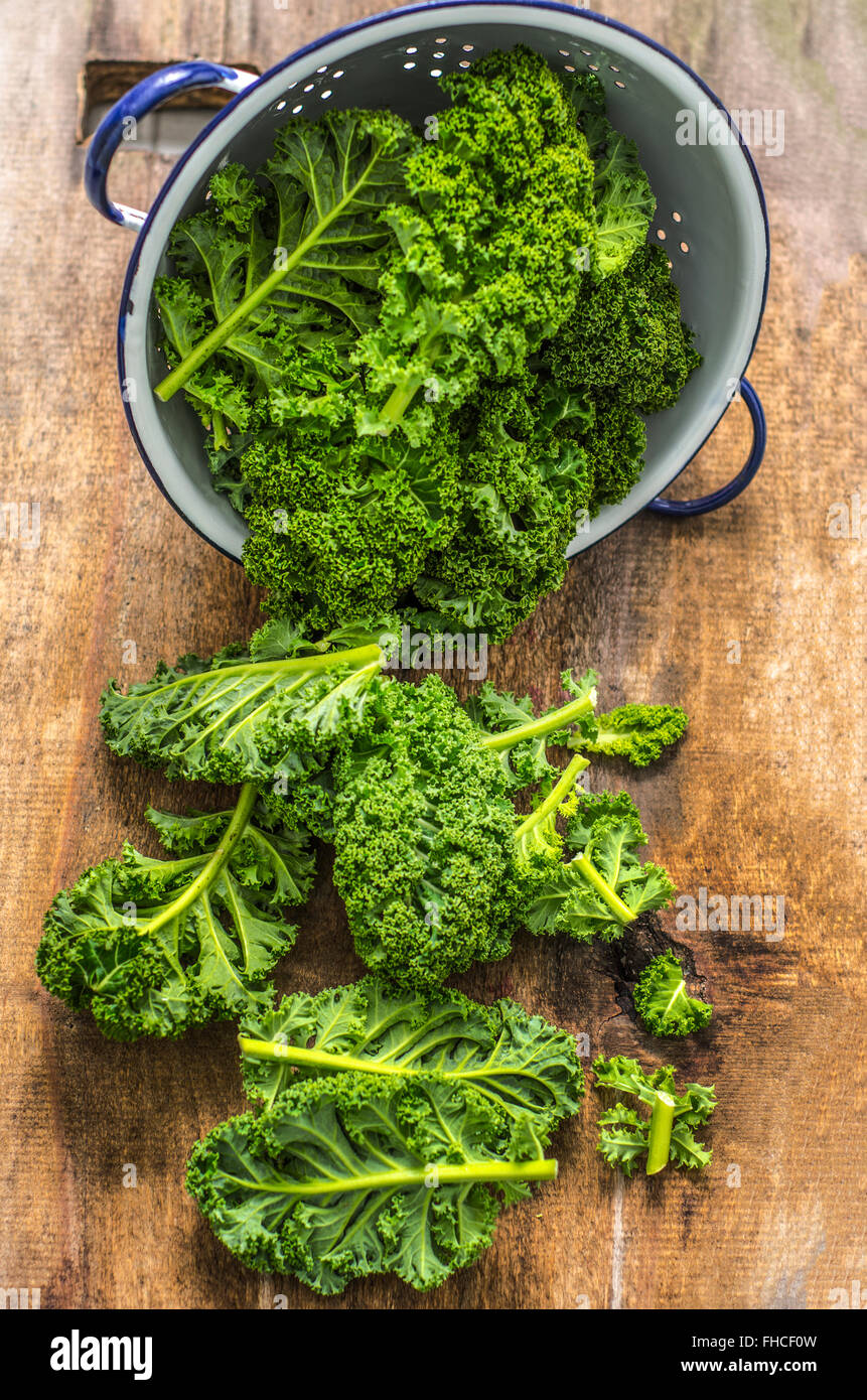 Gabbage hi-res stock photography and images - Alamy