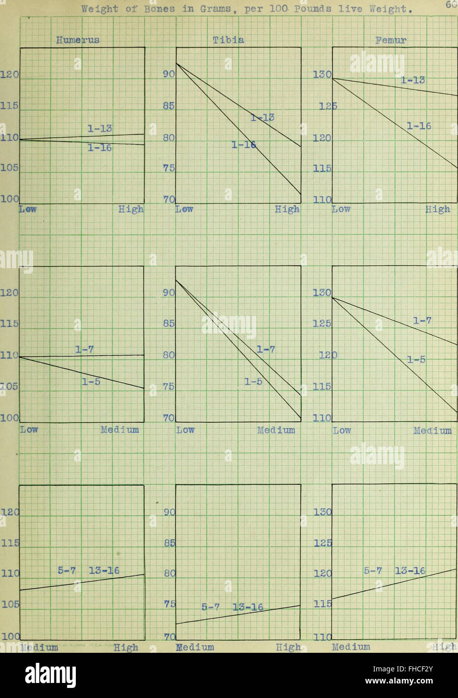 Chemical And Physical Properties Of Bones From Swine Fed On Different