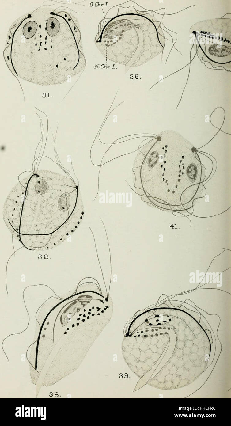 A compilation of scientific papers and research published in 1904 ...