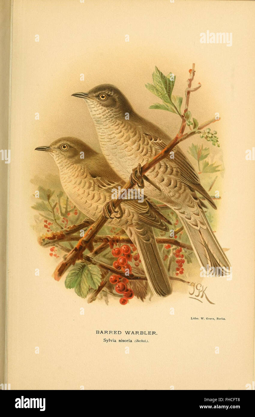 A work by Lord Lilford featuring colored illustrations of birds from ...