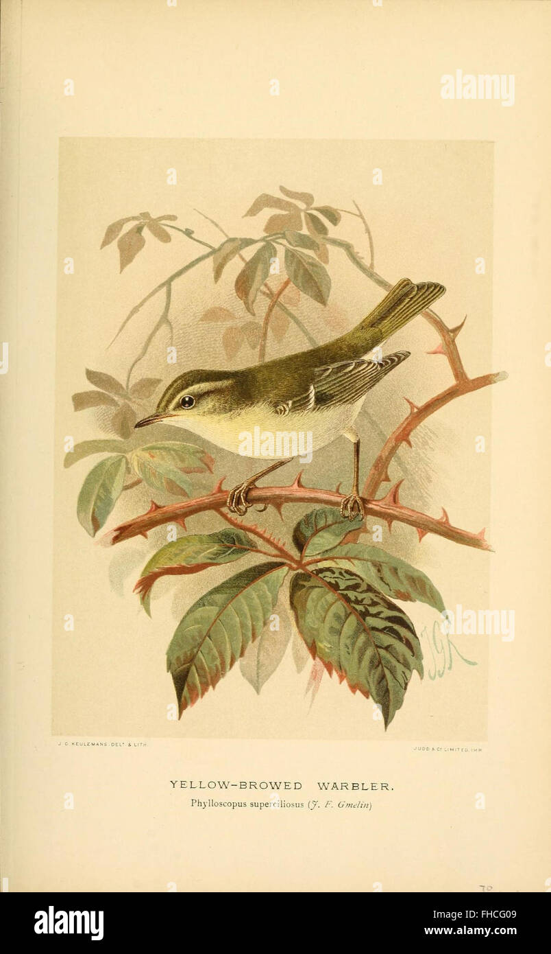 Lord Lilford's 'Coloured Figures of the Birds of the British Islands ...