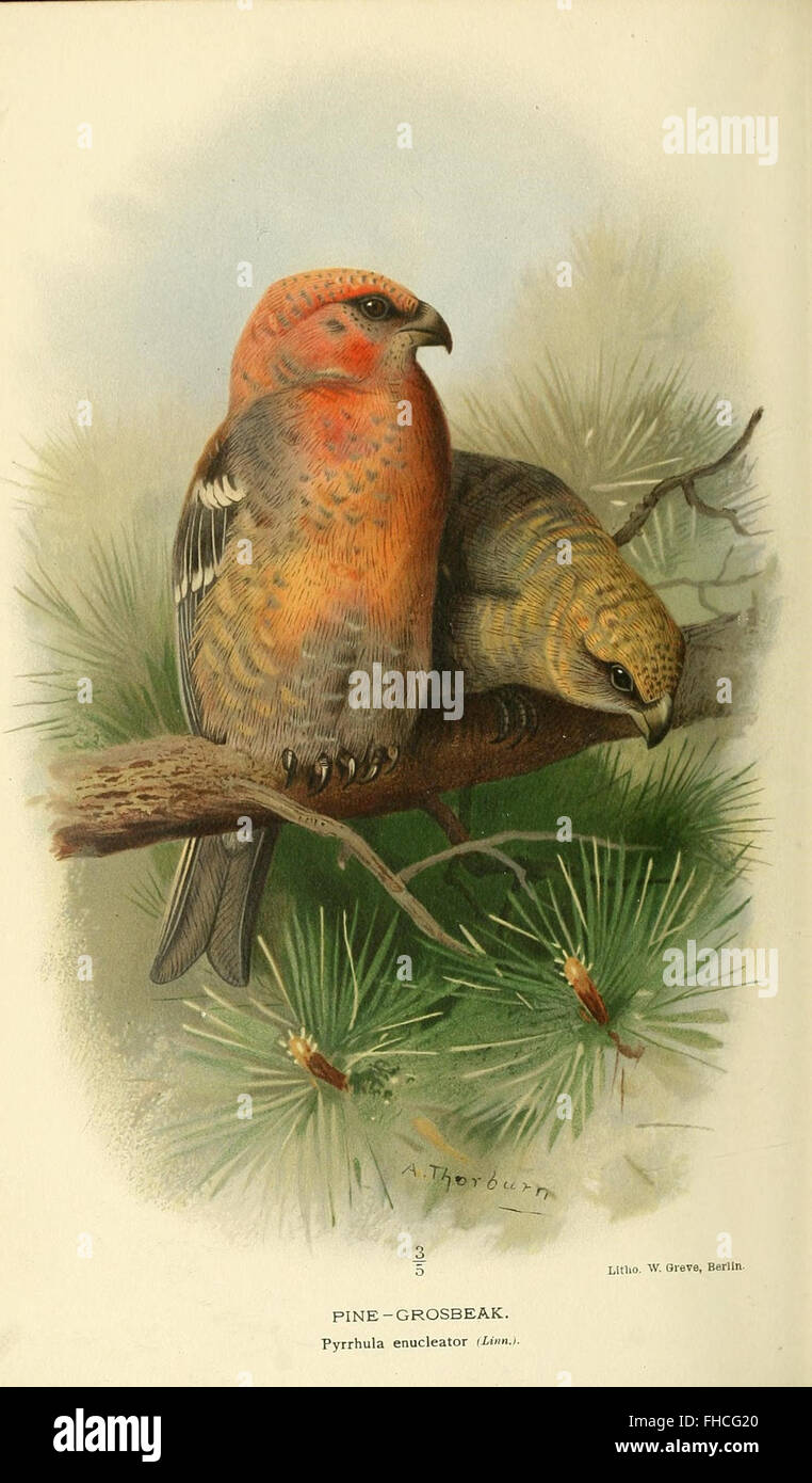 A work issued by Lord Lilford showcasing colored illustrations of the ...