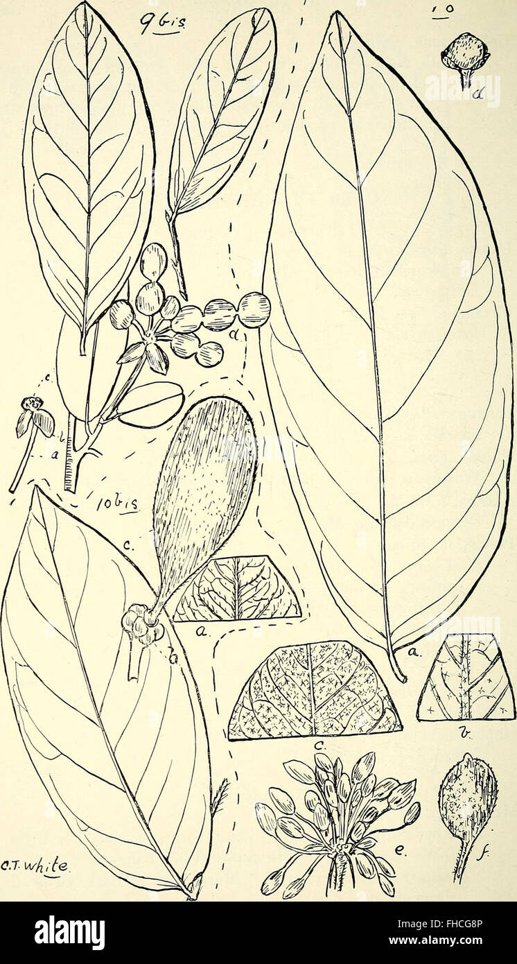 A detailed botanical catalogue documenting indigenous and naturalized ...