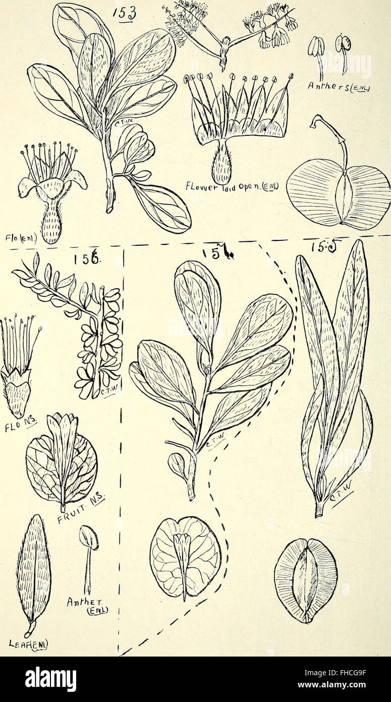 A comprehensive catalog of Queensland’s plants, including both native ...