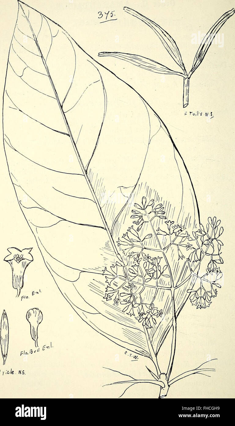 This comprehensive catalog details the indigenous and naturalized ...