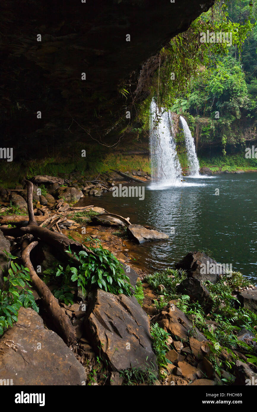 Laos jungle attractions hi-res stock photography and images - Alamy