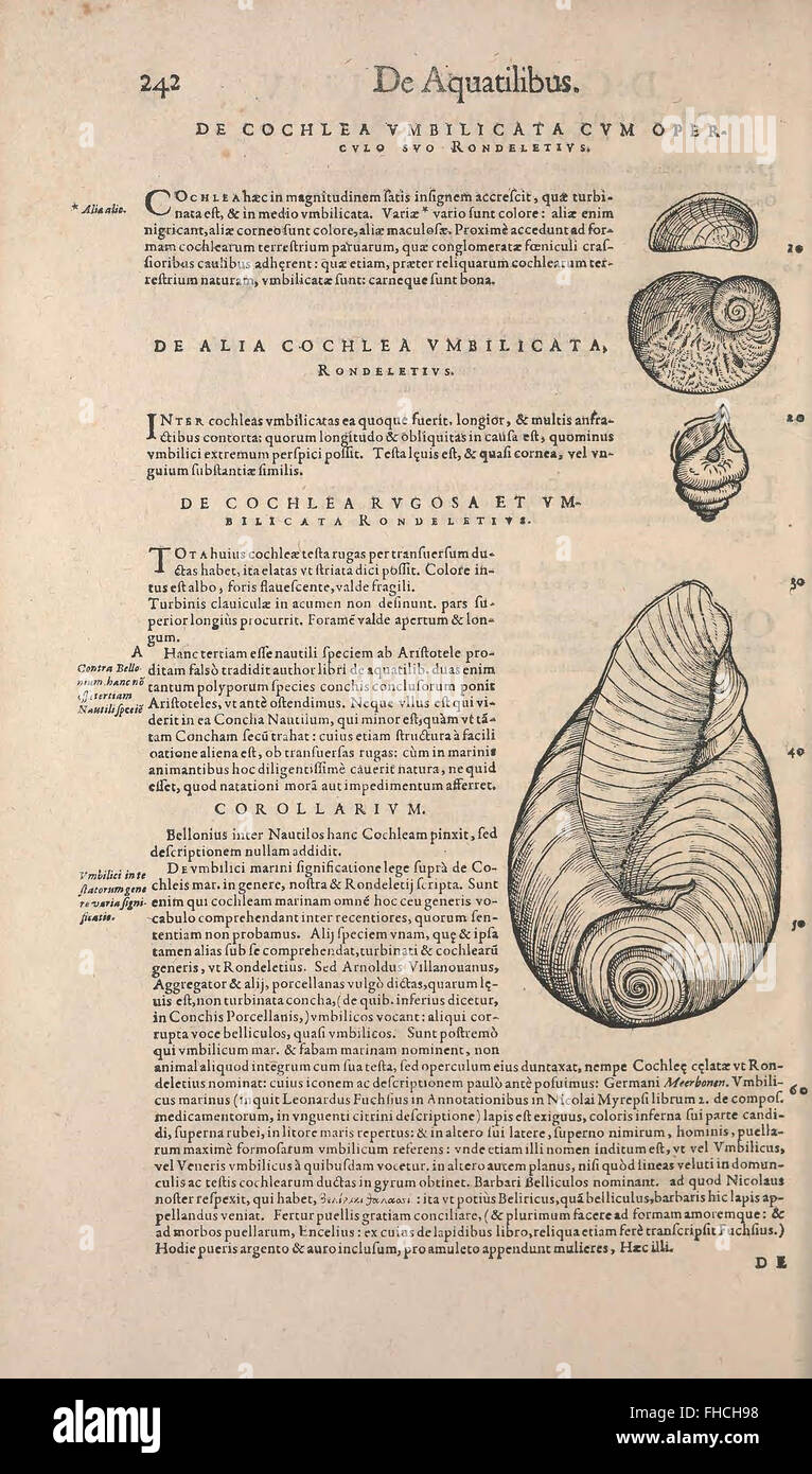 Conradi Gesneri Medici Tigurini Historiae Animalium (Early works to ...