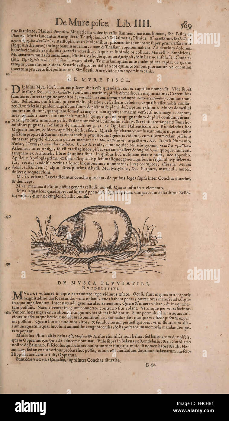 A 16th-century work by Conrad Gesner on the history of animals ...