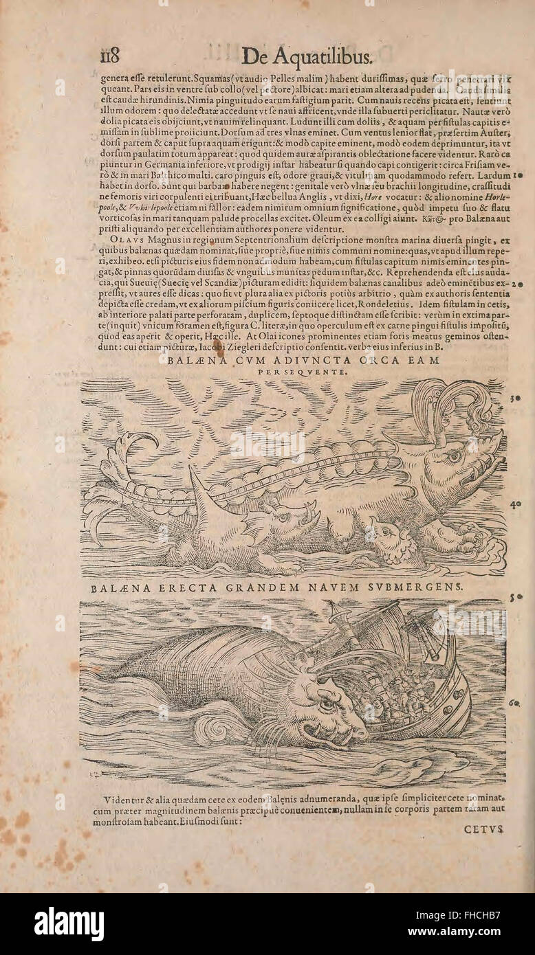 A 16th-century work by Conrad Gesner on the history of animals ...