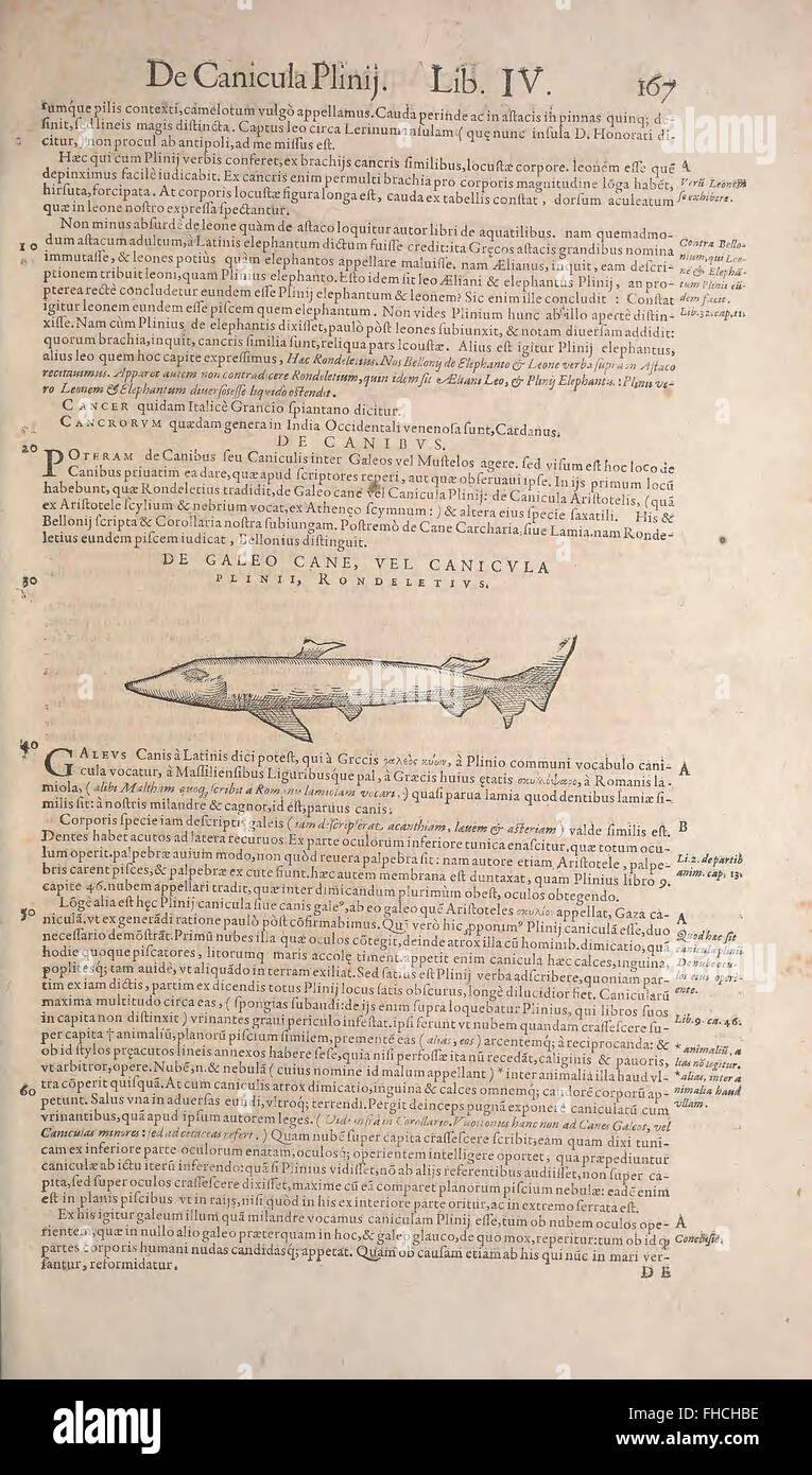 A 16th-century zoological work by Conrad Gesner, covering the study of ...