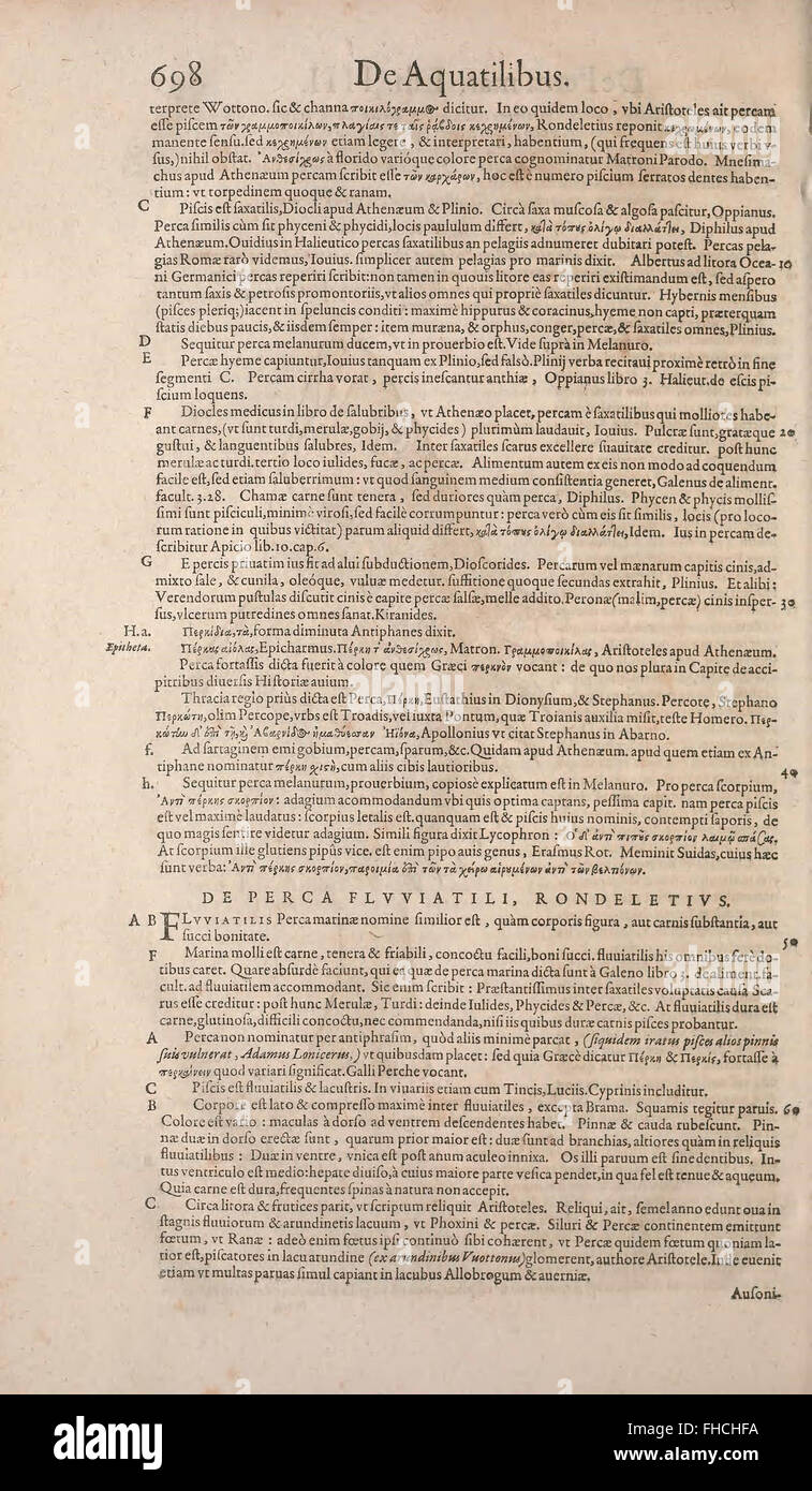 A 16th-century zoological work by Conrad Gessner, focusing on the study ...