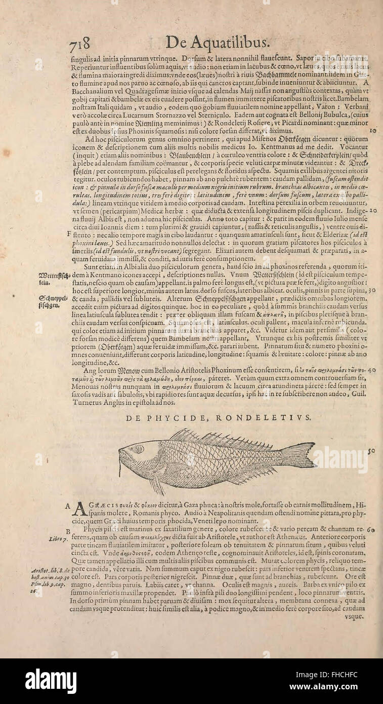 A key zoological work from the 16th century by Conrad Gesner, detailing ...