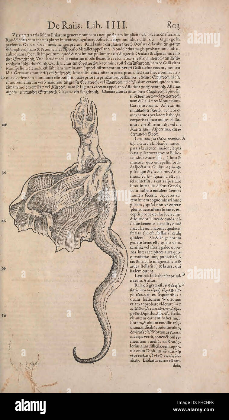 A pre-Linnean work by Conrad Gesner, detailing the history of animals ...