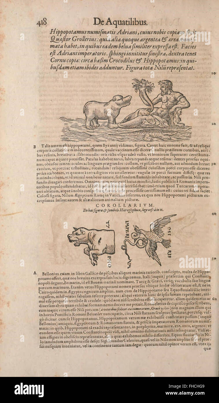 A 16th-century zoological work by Conrad Gesner on animals, including ...