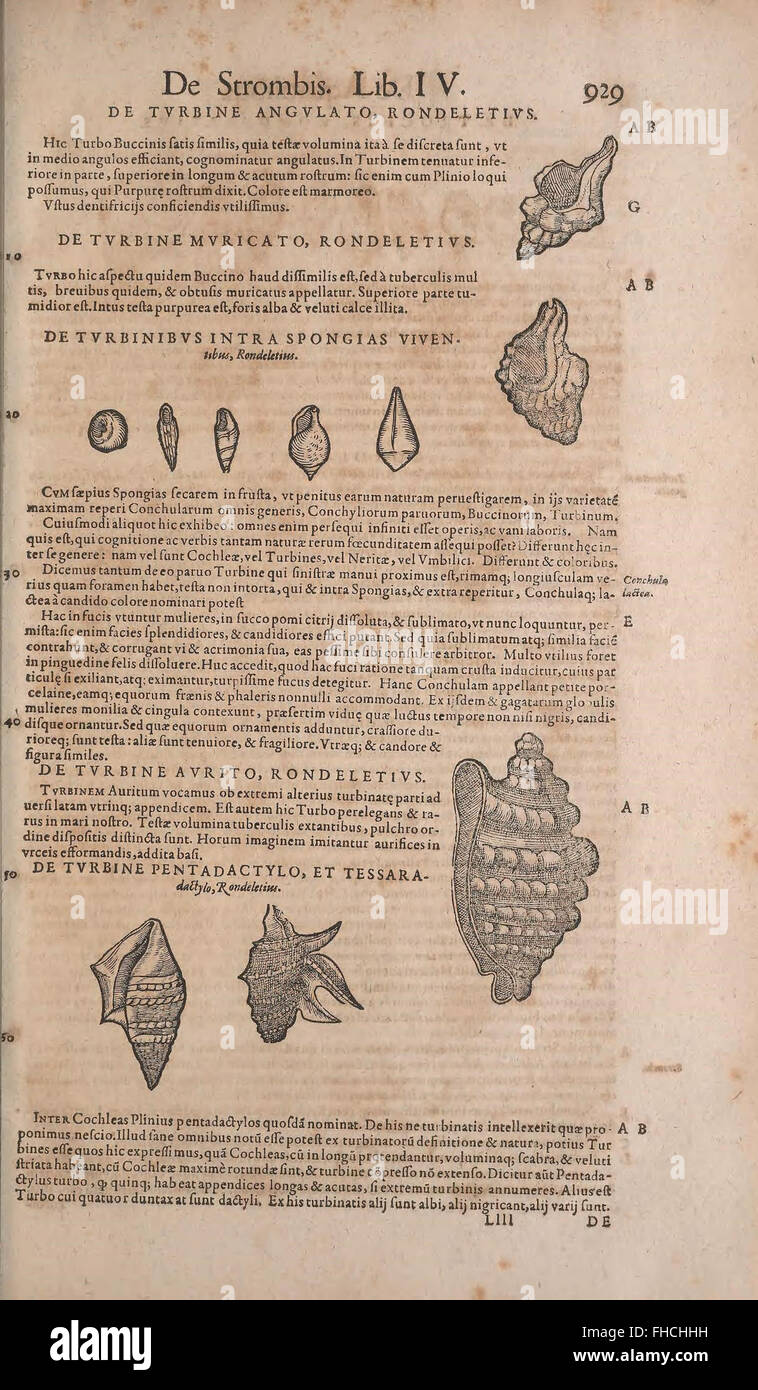 'Historiae Animalium Liber IV' by Conrad Gesner is an early work on ...