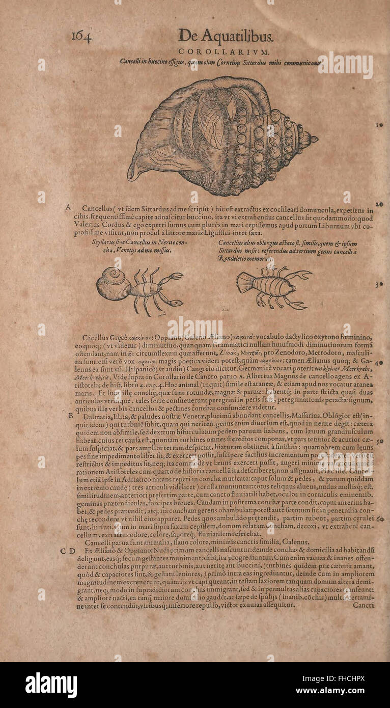 An important pre-Linnaean zoological work by Conrad Gesner, focusing on ...