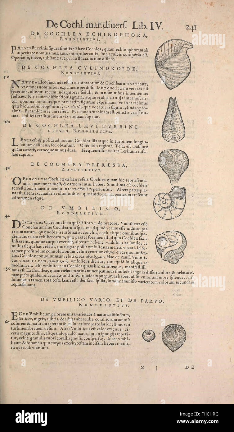 A 16th-century text by Conrad Gesner, focusing on the history of animal ...