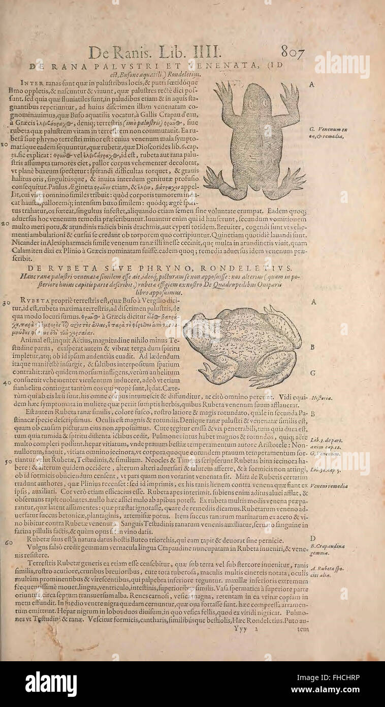 A 16th-century work by Conrad Gesner, describing animal species ...