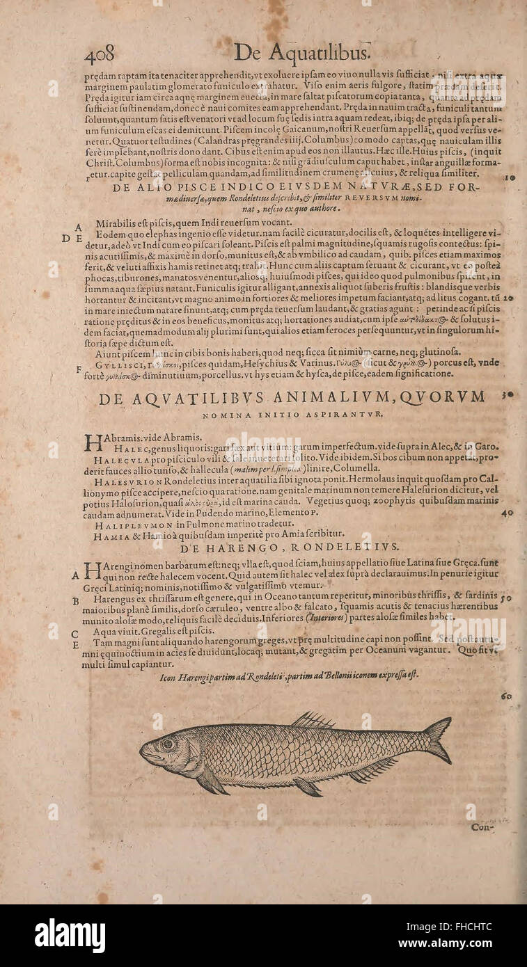 A 16th-century zoological work by Conrad Gesner, focusing on the ...