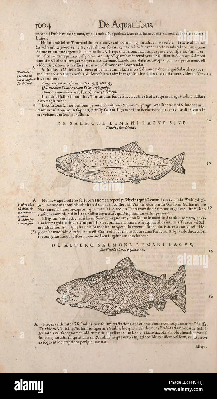Conradi Gesneri Historiae Animalium, early zoology, pre-Linnean works ...