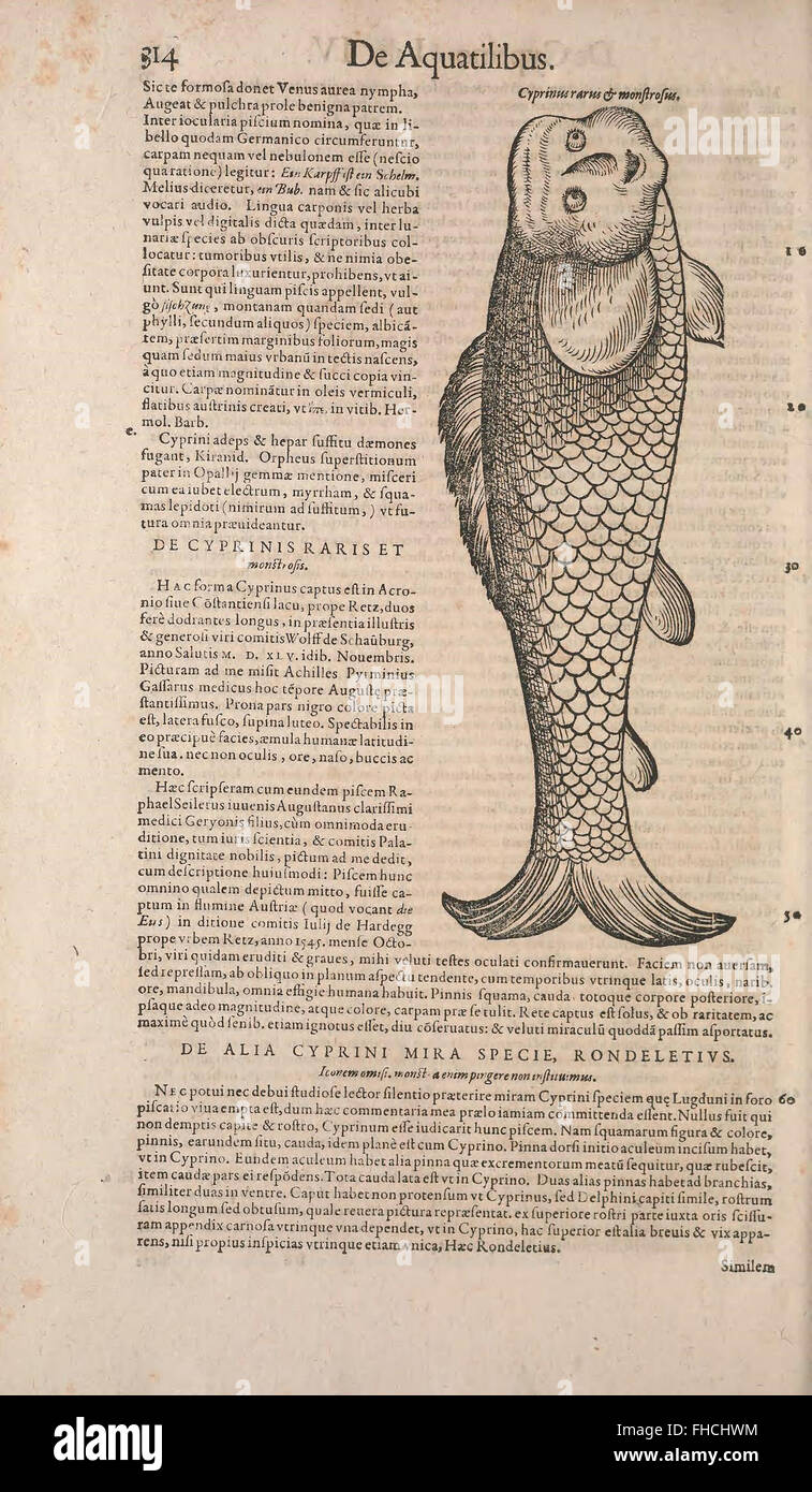 Conrad Gesner's 16th-century work, 'Historiae Animalium Liber IV ...