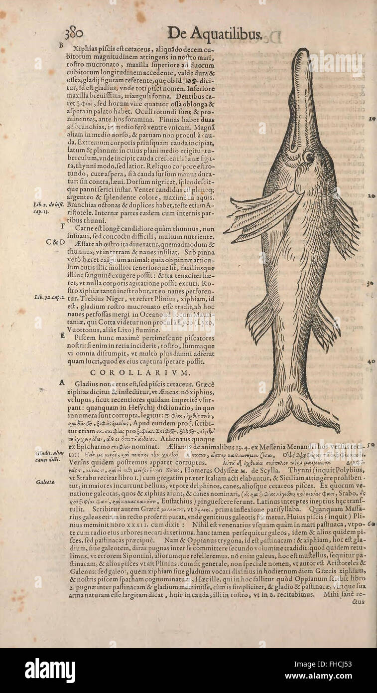 Conradi Gesneri's Historiae Animalium, Liber IV, is a pre-Linnaean work ...