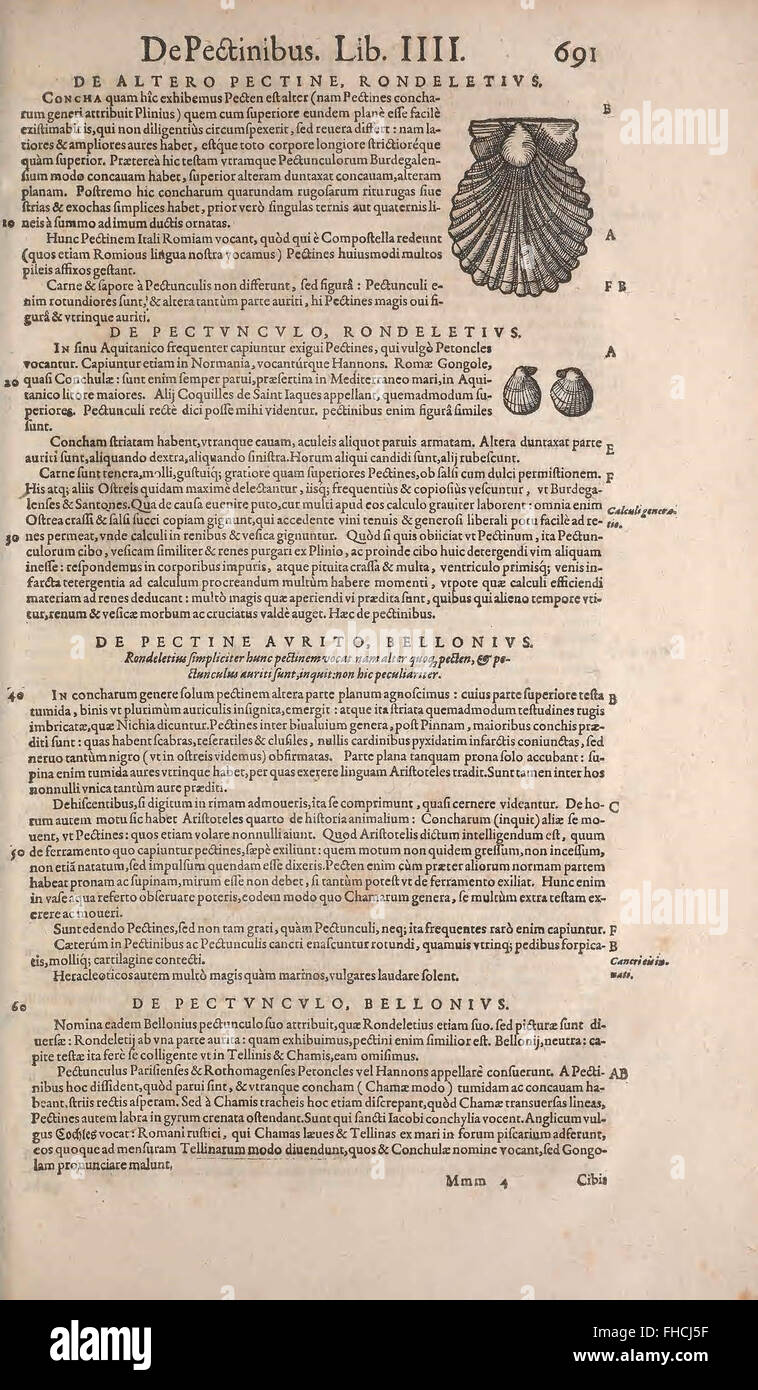 'Conradi Gesneri Historiae animalium liber IV' is a pre-Linnean ...