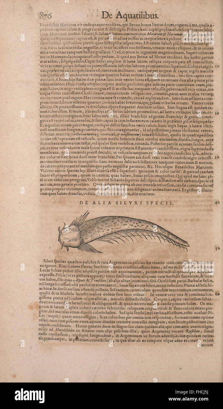 A 17th-century work by Conrad Gesner, detailing the natural history of ...