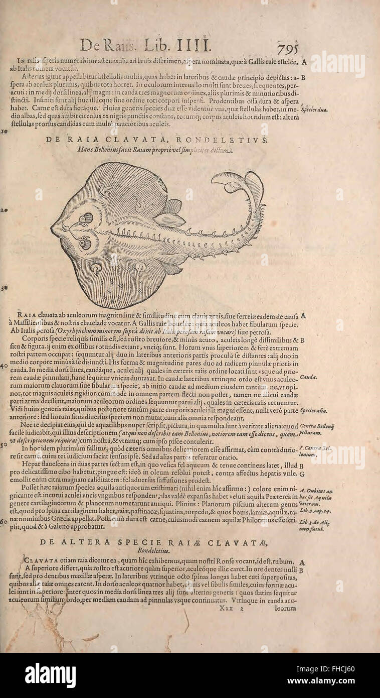 Conradi Gesneri Historiae Animalium Liber IV (History of Animals) is an ...