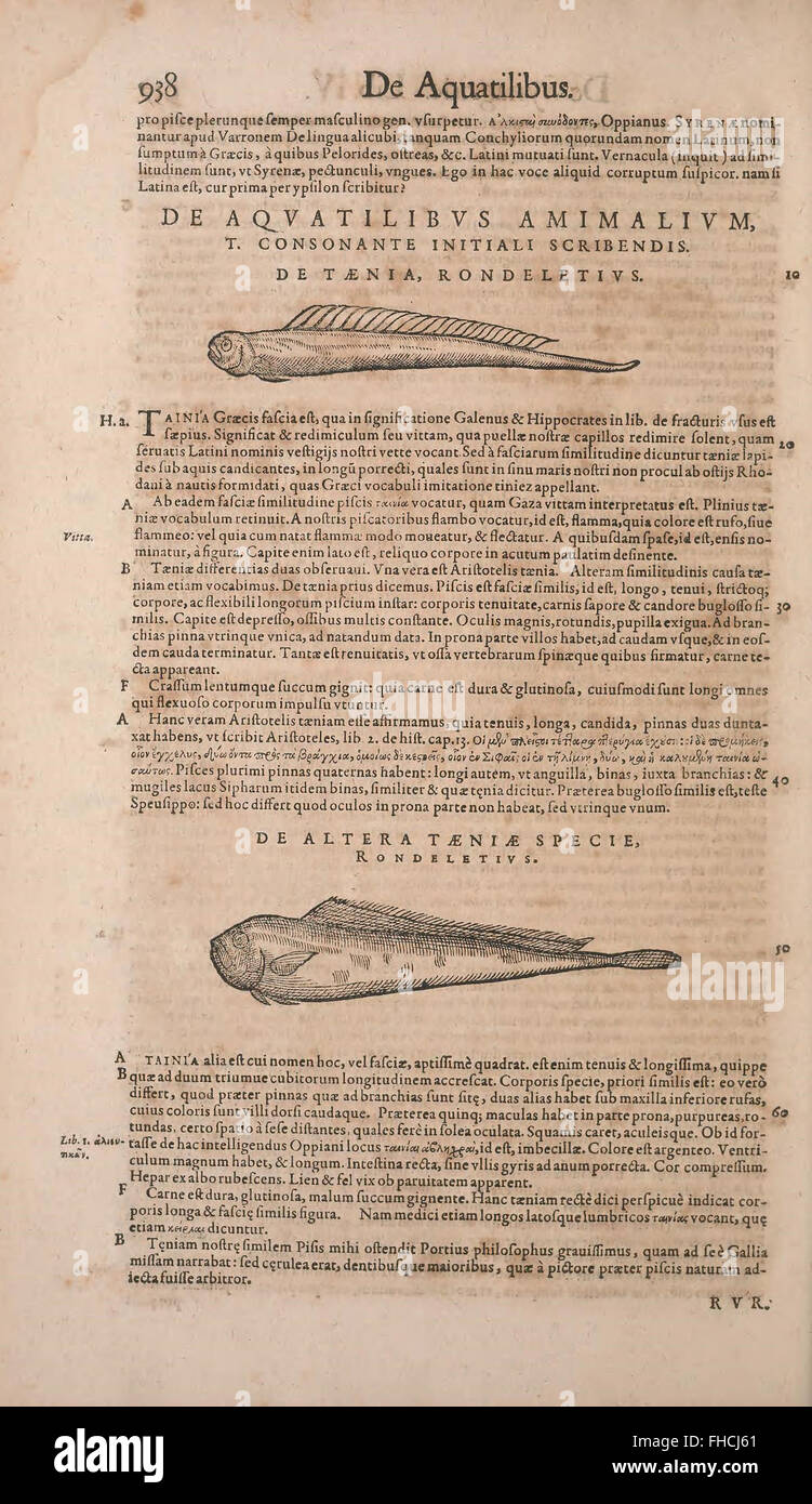 This early zoological work, 'Historiae Animalium Liber IV' by Conrad ...