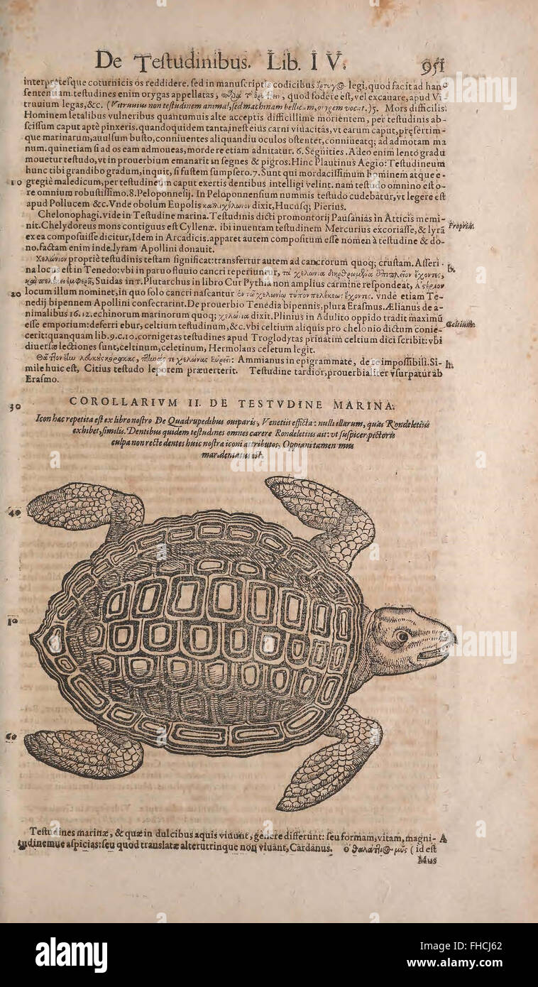 A 16th-century work by Conrad Gesner, presenting detailed descriptions ...