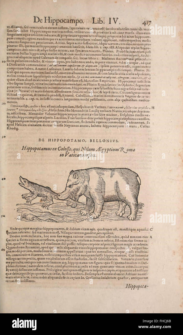 A Pre-Linnean zoological work by Conrad Gesner, detailing the history ...