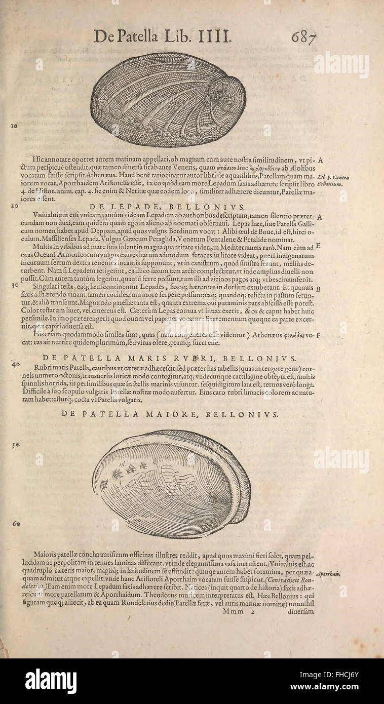 Conrad Gesner's Historiae Animalium, Book IV, Early works to 1800 ...