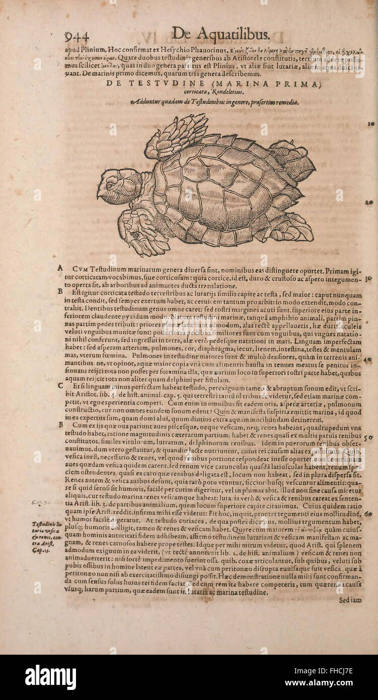 Conrad Gesner, History of Animals, Early Natural History, Zoology, Pre ...